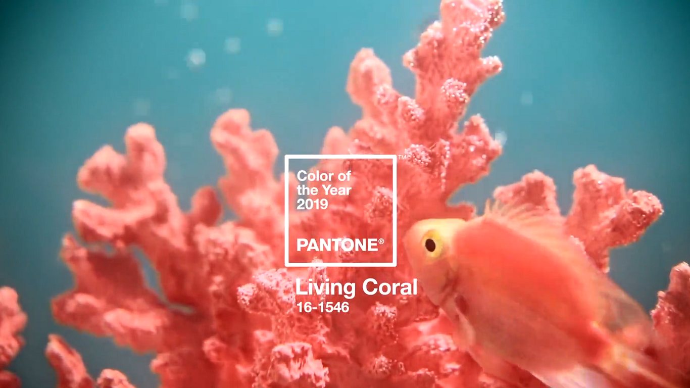 ¡Feliz PANTONE 16-1546 Living Coral!